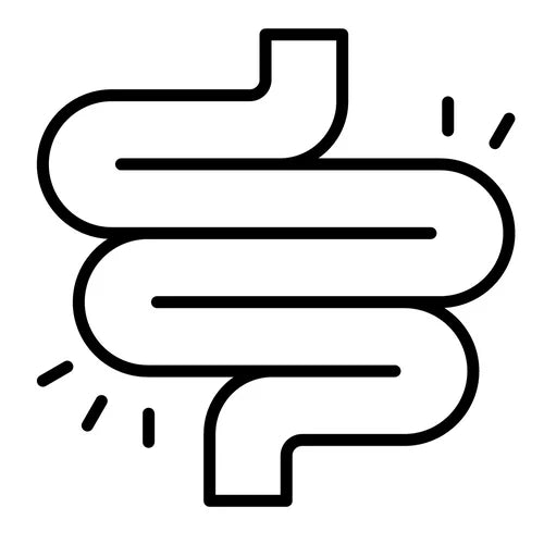 TruMune® postbiotic for gut health - Bestie Health